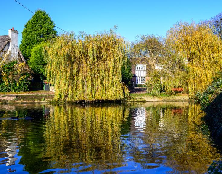 Newton Regis - Newton Manor, Newton Regis | Cameron Homes